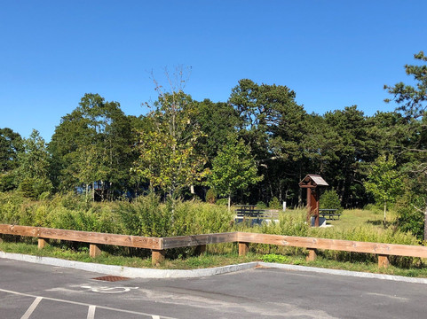 2025年2月Cape Cod Rail Trail景点攻略-Cape Cod Rail Trail门票预订|地址|图片-Cape Cod ...