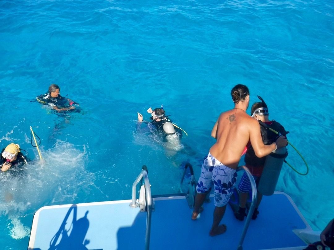 2023年11月Blue Water Divers & Watersports景点攻略-Blue Water Divers ...