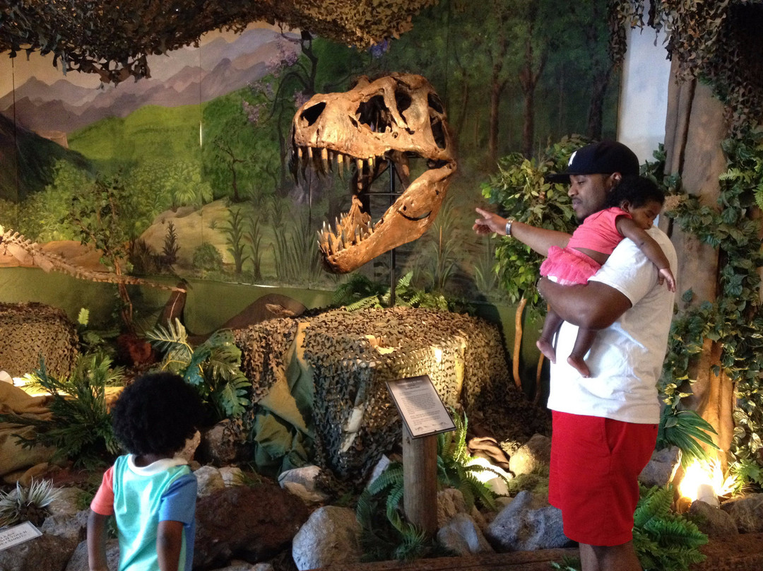 2023年12月Museum of Discovery and Science景点攻略-Museum of Discovery and ...