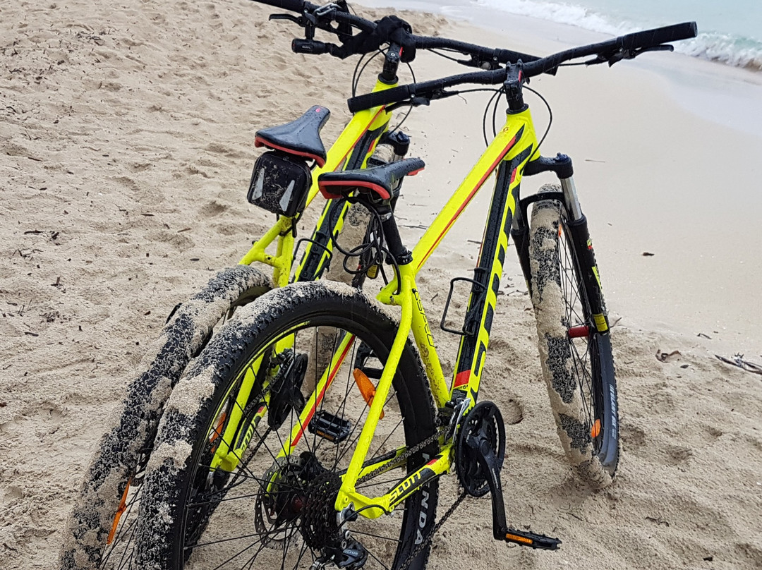 2023年12月Pepe - Rent a Bike景点攻略-Pepe - Rent a Bike门票预订|地址|图片-Pepe - Rent ...