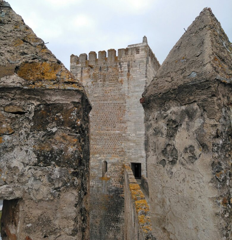 2025年3月Castelo de Moura景点攻略-Castelo de Moura门票预订|地址|图片-Castelo de Moura ...