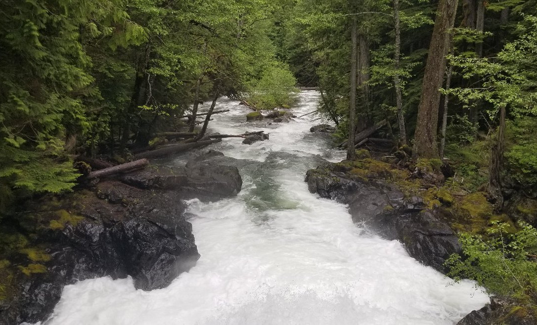 2023年12月Deception Falls景点攻略-Deception Falls门票预订|地址|图片-Deception Falls景点 ...