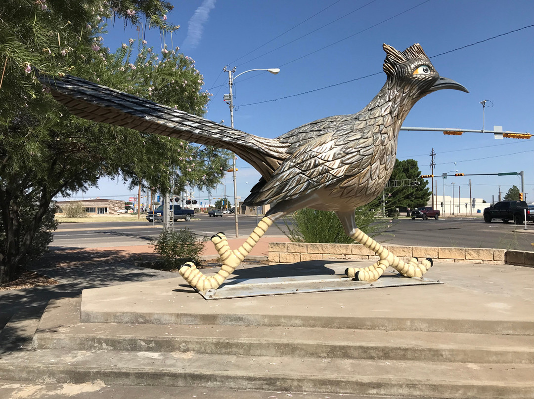 2023年12月Giant Road Runner景点攻略-Giant Road Runner门票预订|地址|图片-Giant Road ...