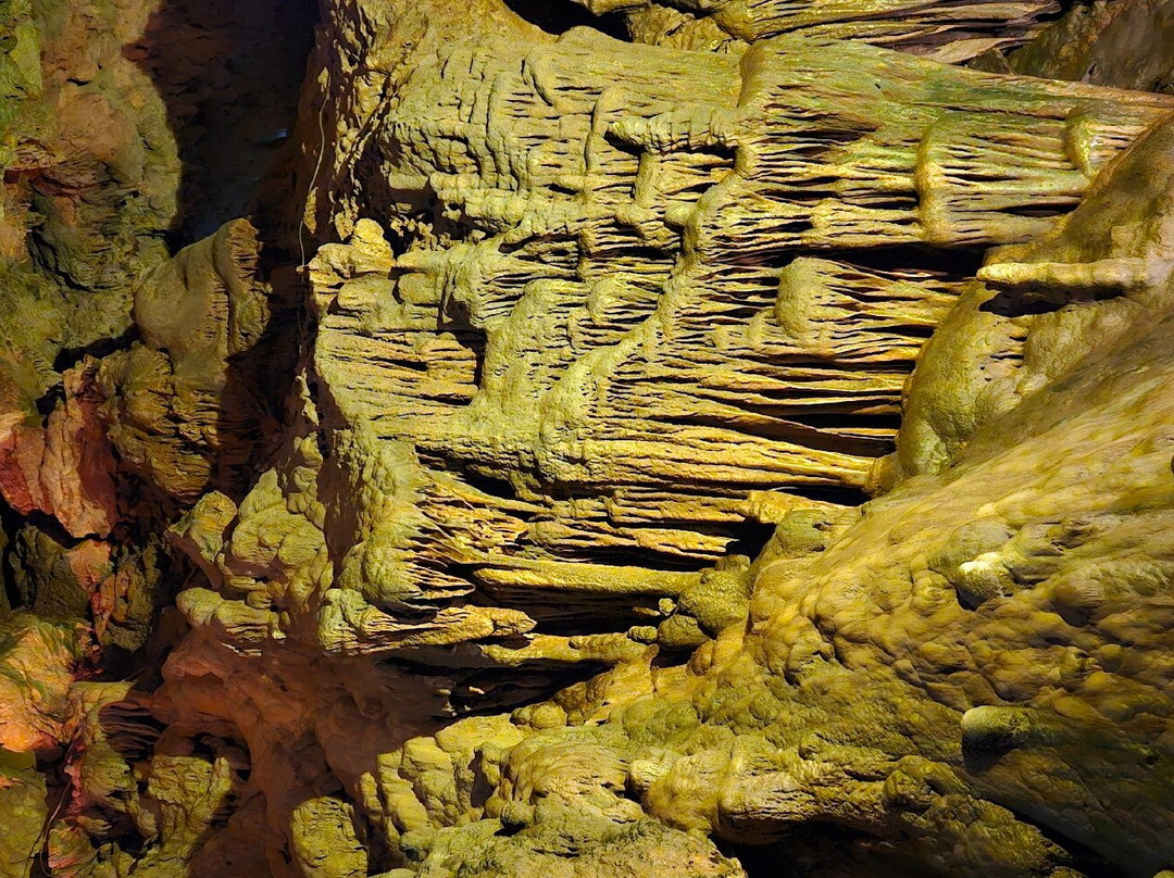2023年12月Dixie Caverns景点攻略-Dixie Caverns门票预订|地址|图片-Dixie Caverns景点点评-猫途鹰