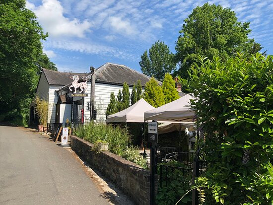 The Spotted Dog - (Penshurst)餐厅/美食点评 - 餐厅地址/餐厅电话/餐厅周边信息/餐厅推荐菜 ...