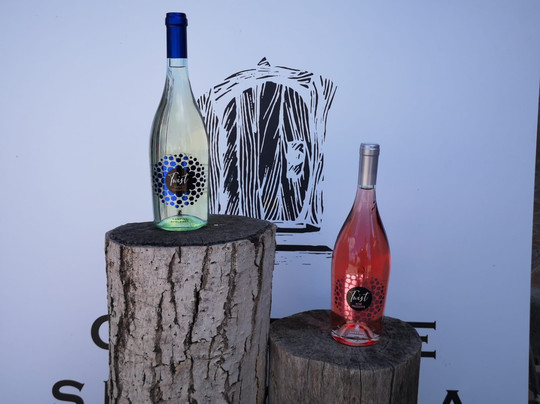 2025年7月Stornara景点攻略-Stornara旅游必去景点-Stornara景点大全-猫途鹰