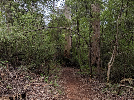 2024年4月Warren National Park景点攻略-Warren National Park门票预订|地址|图片-Warren ...