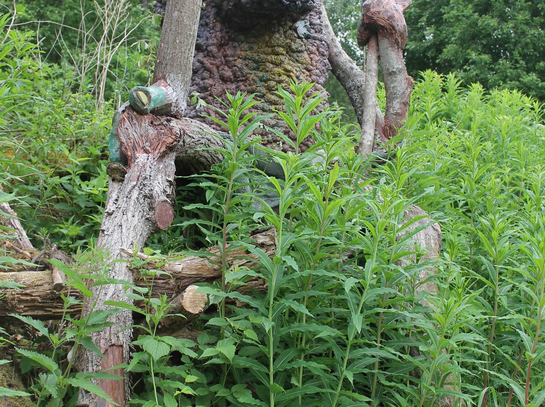 2025年4月Kulikovo景点攻略-Kulikovo旅游必去景点-Kulikovo景点大全-猫途鹰