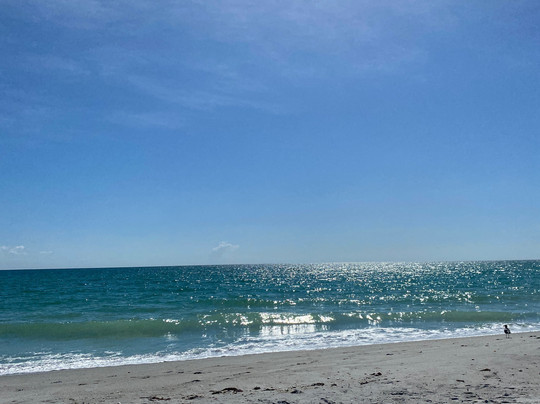 2024年10月Blind Pass Beach景点攻略-Blind Pass Beach门票预订|地址|图片-Blind Pass ...