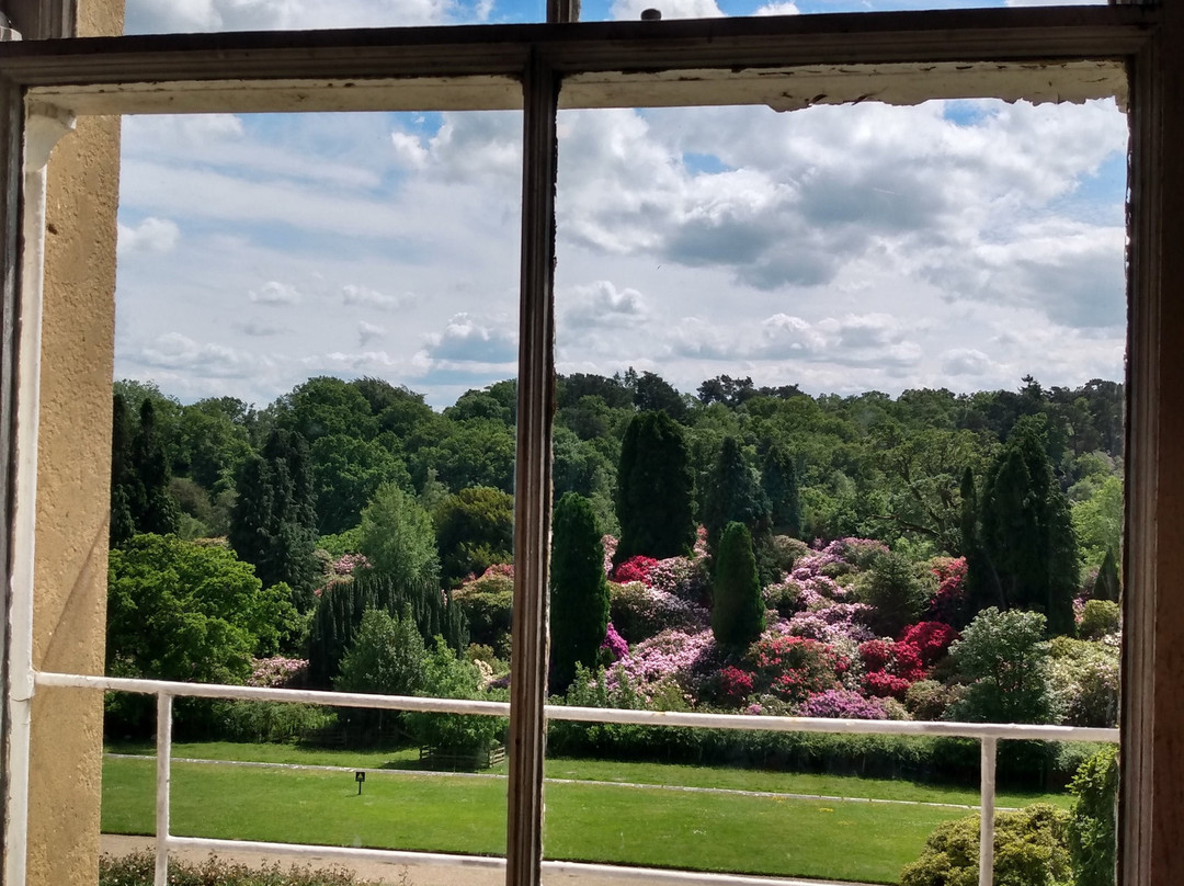 2023年11月Belsay Hall, Castle and Gardens景点攻略-Belsay Hall, Castle and ...