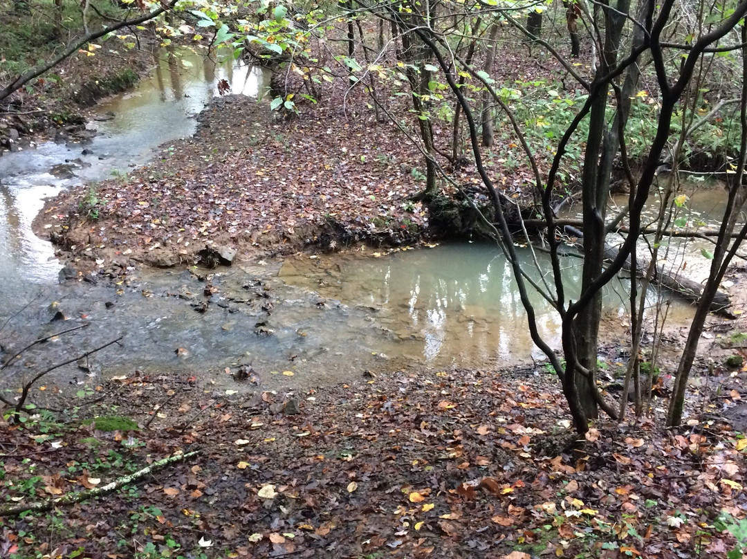 2024年1月Braddock Grave景点攻略-Braddock Grave门票预订|地址|图片-Braddock Grave景点点评-猫途鹰