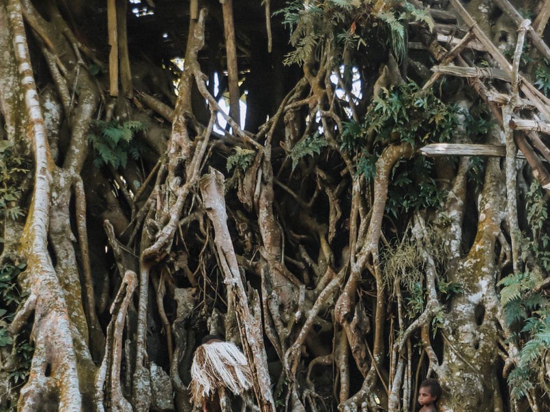 2025年3月Yakel Village景点攻略-Yakel Village门票预订|地址|图片-Yakel Village景点点评-猫途鹰