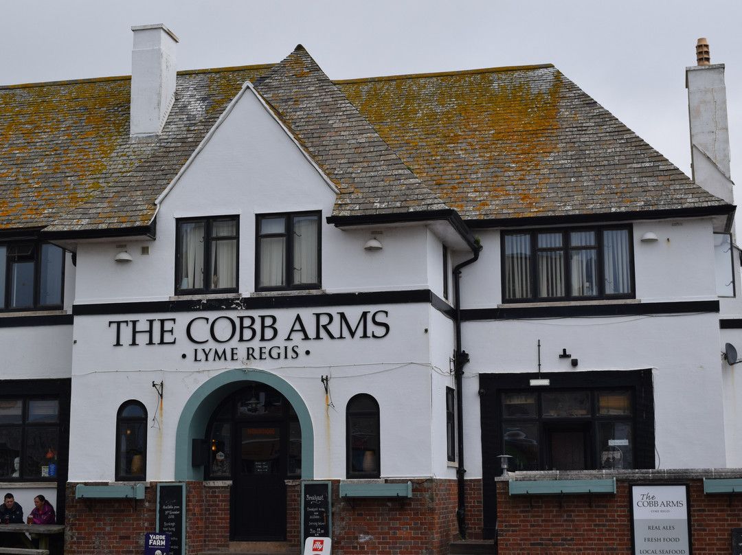 2023年11月Cobb Beach景点攻略-Cobb Beach门票预订|地址|图片-Cobb Beach景点点评-猫途鹰