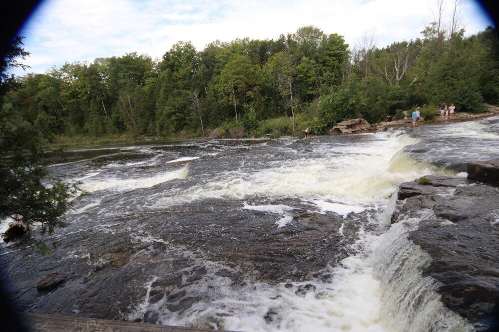 2024年9月Sauble Falls Provincial Park景点攻略-Sauble Falls Provincial Park门票 ...