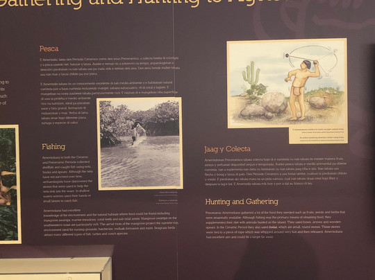 2023年11月National Archaeological Museum Aruba景点攻略-National ...