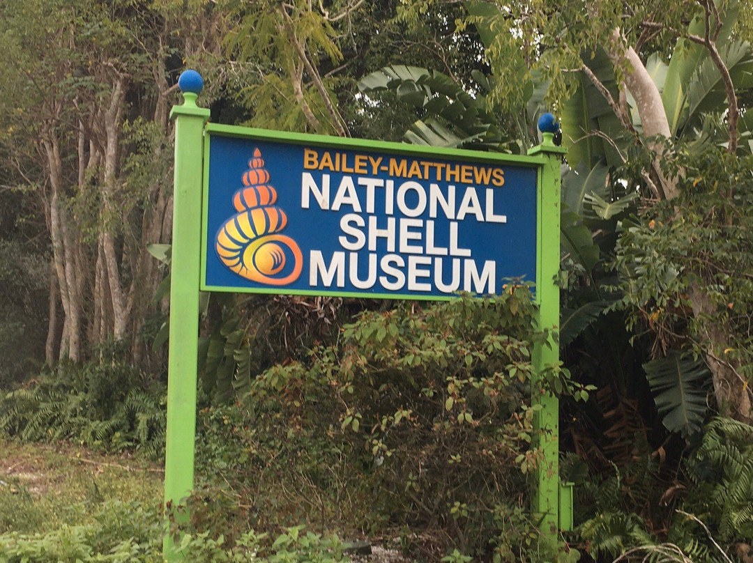 2025年3月The Bailey-Matthews National Shell Museum & Aquarium景点攻略-The ...