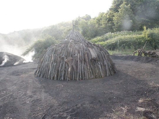 2025年4月Agva Merkez旅游景点攻略-Agva Merkez旅游住宿,-Agva Merkez旅游美食-猫途鹰