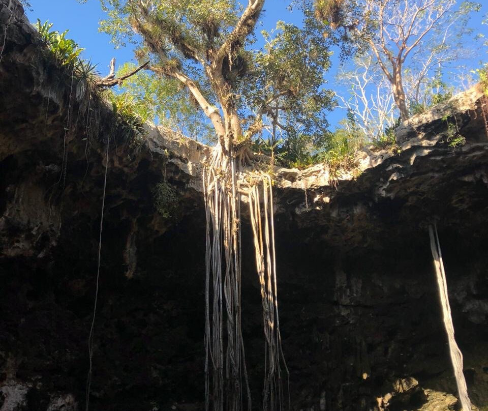 2023年11月Santa Barbara Cenotes & Restaurant景点攻略-Santa Barbara Cenotes ...