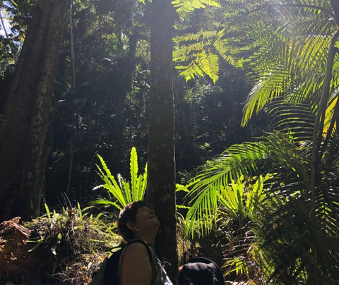 2023年12月Witches Falls Walking Trail景点攻略-Witches Falls Walking Trail门票预订 ...