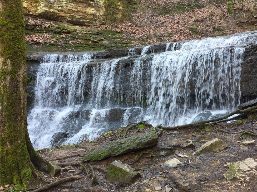 2023年11月Jackson Falls景点攻略-Jackson Falls门票预订|地址|图片-Jackson Falls景点点评-猫途鹰