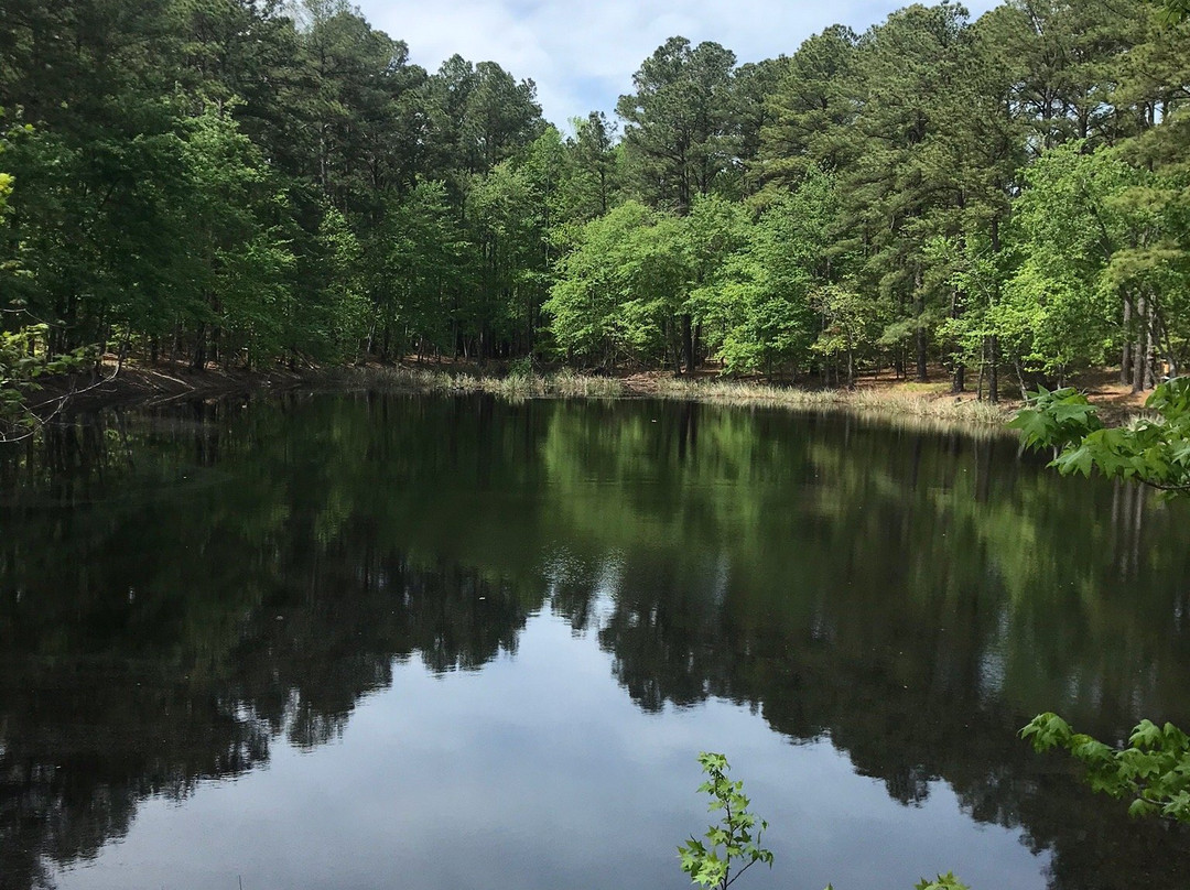 2023年11月Harris Lake County Park景点攻略-Harris Lake County Park门票预订|地址|图片 ...