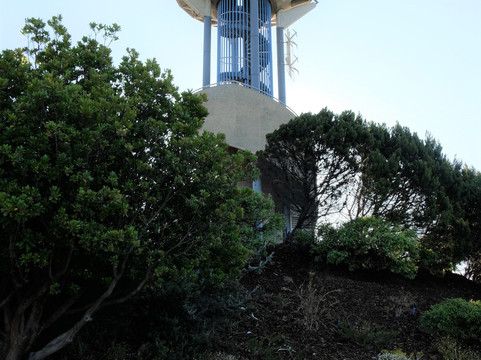 2024年3月Marlston Hill Lookout Tower景点攻略-Marlston Hill Lookout Tower门票预订 ...