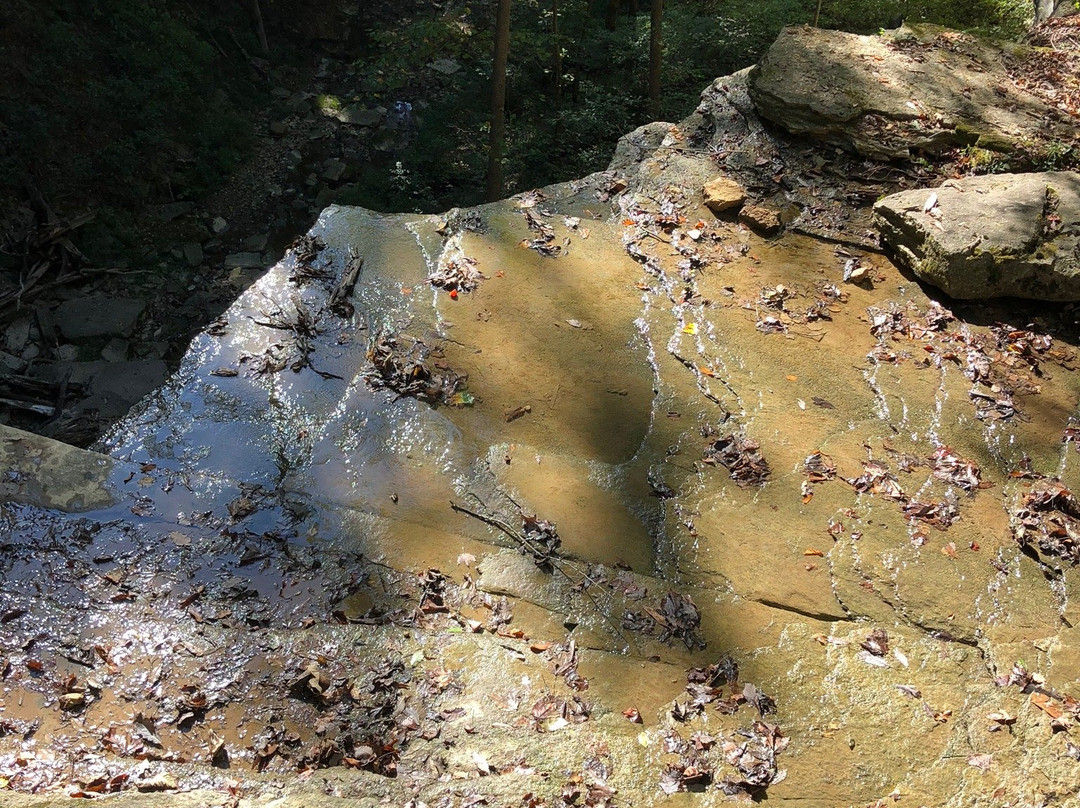 2024年8月Clifty Falls State Park景点攻略-Clifty Falls State Park门票预订|地址|图片 ...