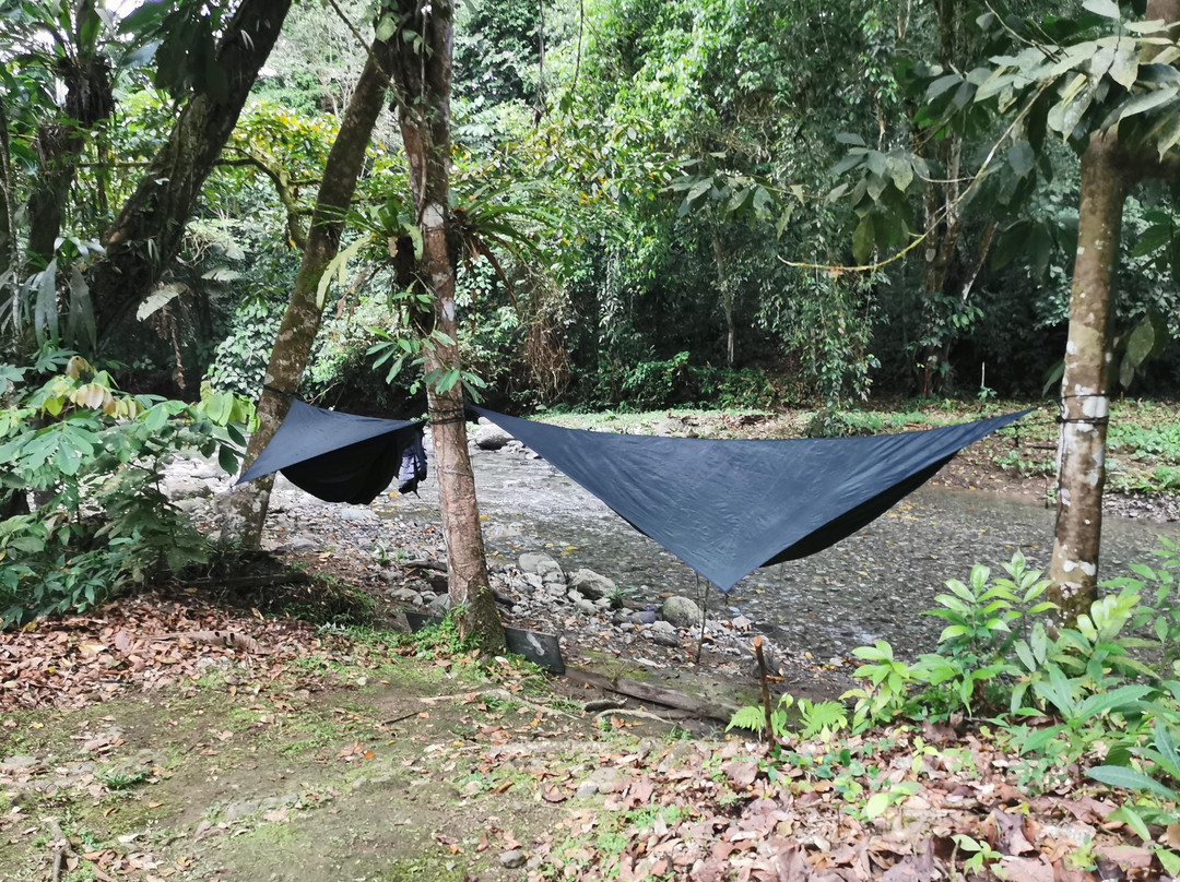 2024年5月Meteti旅游景点攻略-Meteti旅游住宿,-Meteti旅游美食-猫途鹰