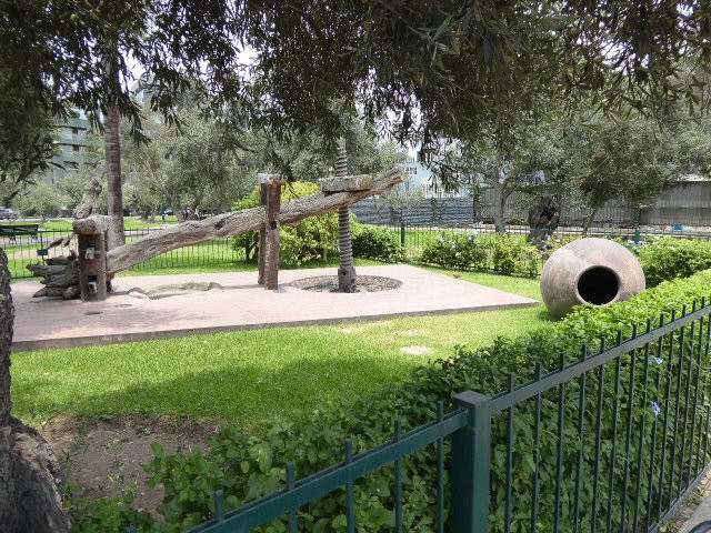 2025年3月Parque El Olivar de San Isidro景点攻略-Parque El Olivar de San ...