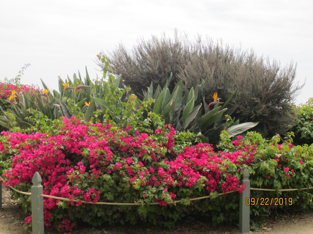 2023年12月Ocean View Park景点攻略-Ocean View Park门票预订|地址|图片-Ocean View Park景点 ...