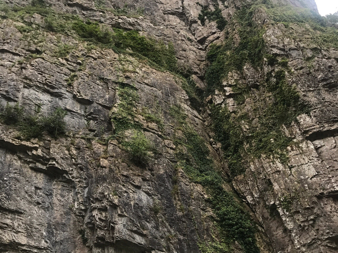 2023年11月Cheddar Gorge & Caves景点攻略-Cheddar Gorge & Caves门票预订|地址|图片 ...
