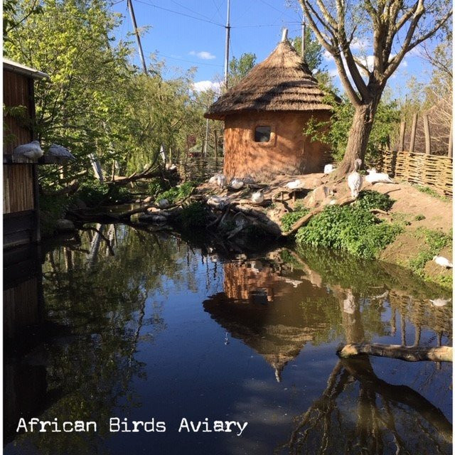 2024年10月Odense Zoo景点攻略-Odense Zoo门票预订|地址|图片-Odense Zoo景点点评-猫途鹰