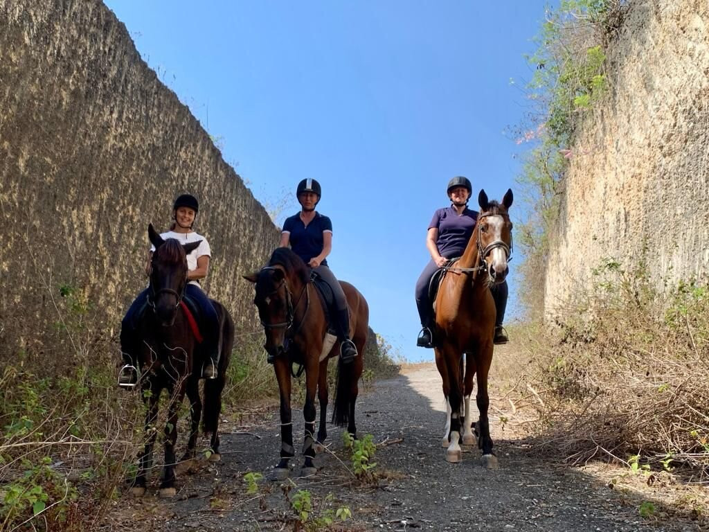 2024年12月Kutuh景点攻略-Kutuh旅游必去景点-Kutuh景点大全-猫途鹰