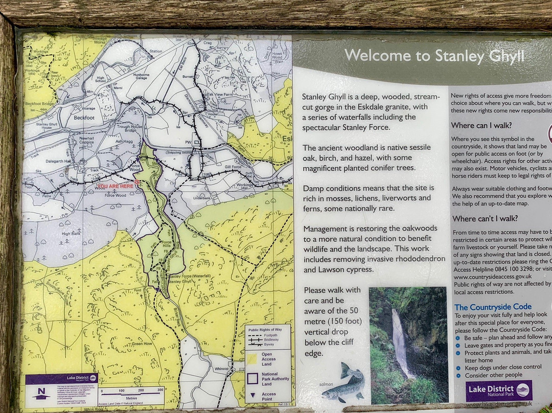 2023年11月Stanley Ghyll Force Waterfall景点攻略-Stanley Ghyll Force Waterfall ...