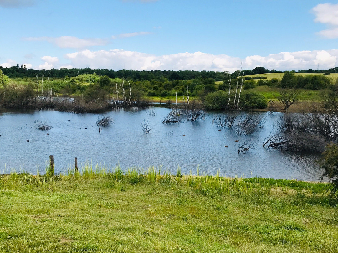 2023年11月Rabbit Ings Country Park景点攻略-Rabbit Ings Country Park门票预订|地址|图片 ...