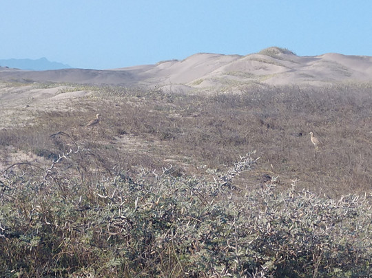 2024年3月Chachalacas Beach景点攻略-Chachalacas Beach门票预订|地址|图片-Chachalacas ...