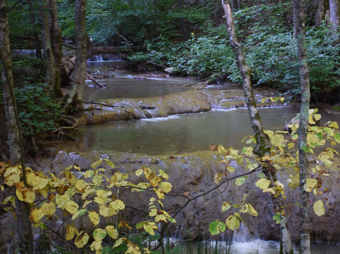 2025年1月Falls Ridge Preserve景点攻略-Falls Ridge Preserve门票预订|地址|图片-Falls ...