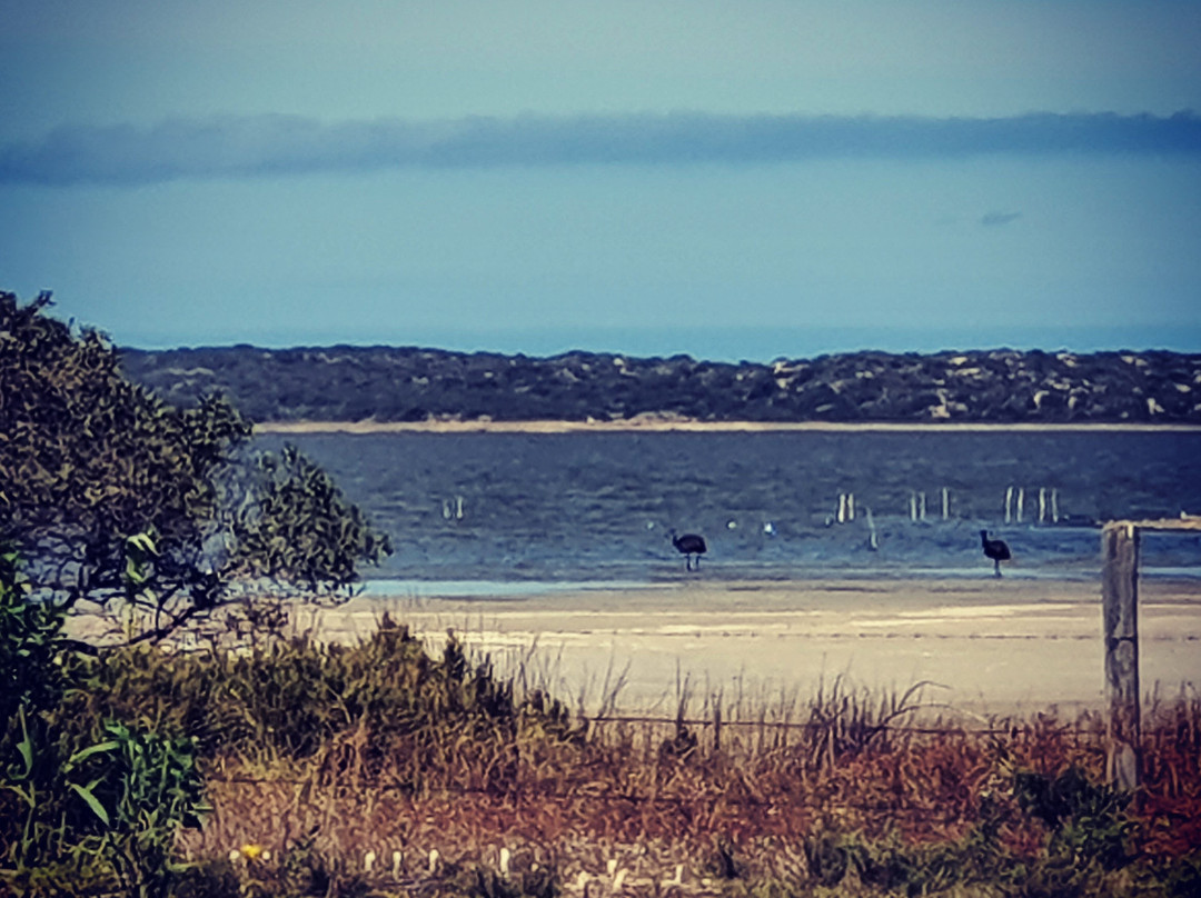 2025年12月Policeman Point旅游景点攻略-Policeman Point旅游住宿,-Policeman Point旅游美食-猫途鹰
