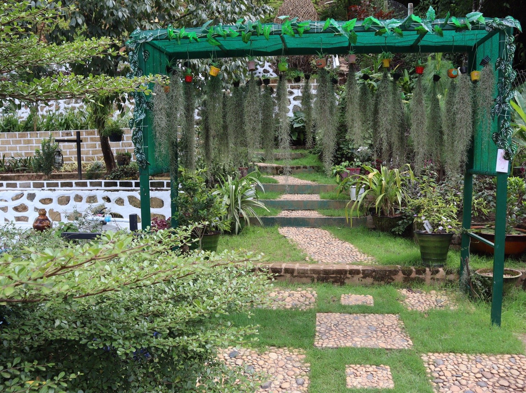 2025年1月Barani Garden景点攻略-Barani Garden门票预订|地址|图片-Barani Garden景点点评-猫途鹰