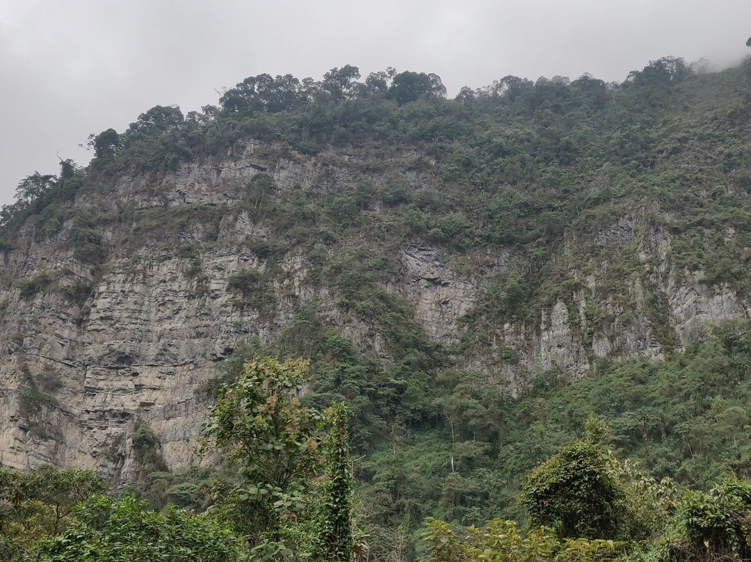 2023年11月Parque Natural Chicaque景点攻略-Parque Natural Chicaque门票预订|地址|图片 ...