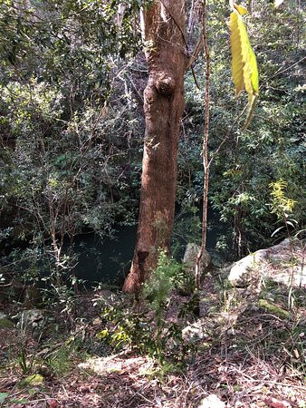 2025年1月Winmalee景点攻略-Winmalee旅游必去景点-Winmalee景点大全-猫途鹰