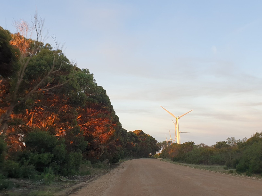2023年12月Wattle Point Wind Farm景点攻略-Wattle Point Wind Farm门票预订|地址|图片 ...
