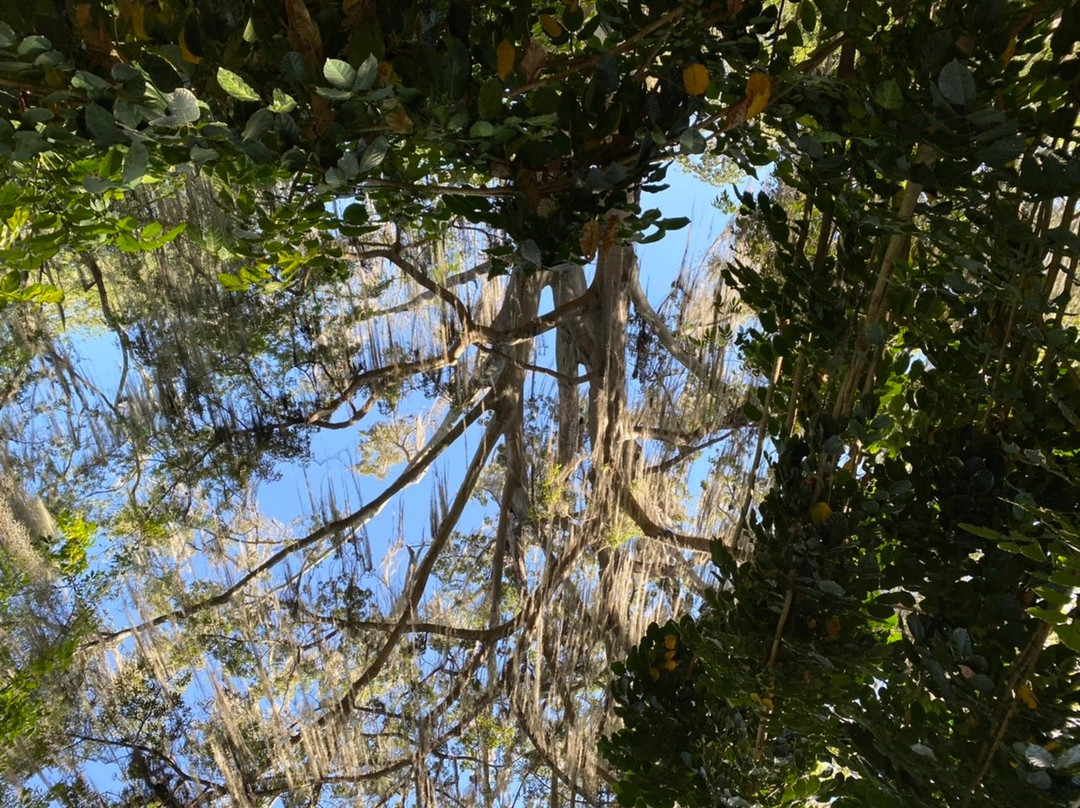 2024年1月Parque Gallineral景点攻略-Parque Gallineral门票预订|地址|图片-Parque ...