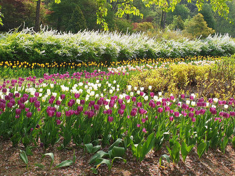 2025年2月Jade Garden Natural Arboretum景点攻略-Jade Garden Natural Arboretum ...