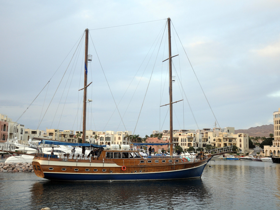 2025年2月Aqaba Marine Park景点攻略-Aqaba Marine Park门票预订|地址|图片-Aqaba Marine ...