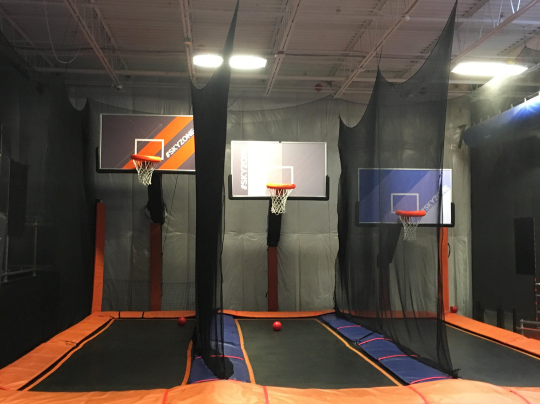 2023年12月Sky Zone Trampoline Park景点攻略-Sky Zone Trampoline Park门票预订|地址|图片 ...