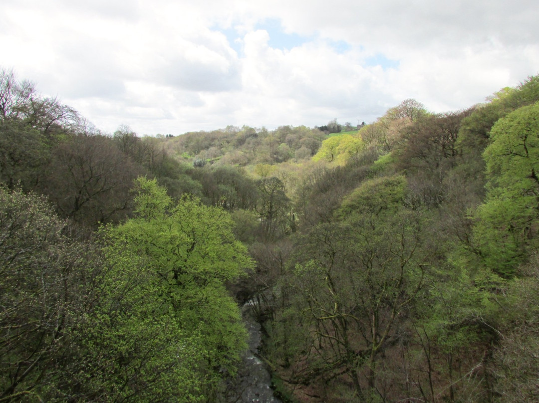 2023年11月Healey Dell Nature Reserve景点攻略-Healey Dell Nature Reserve门票预订 ...