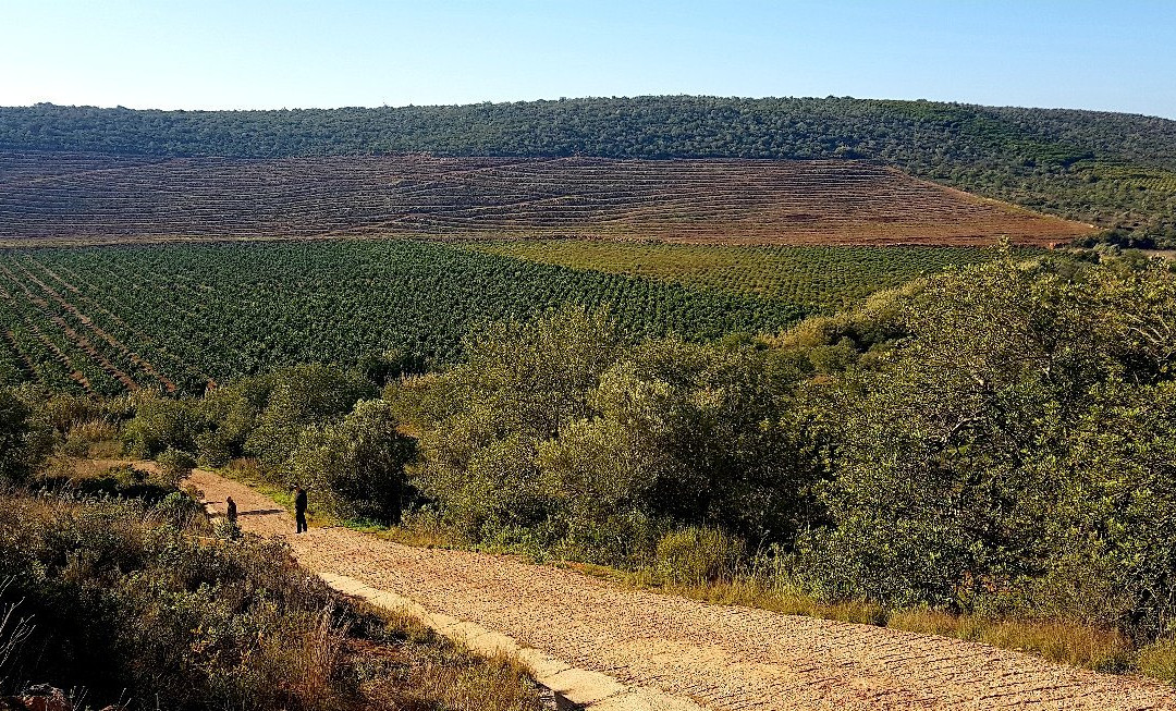2024年10月Queda do Vigário景点攻略-Queda do Vigário门票预订|地址|图片-Queda do ...