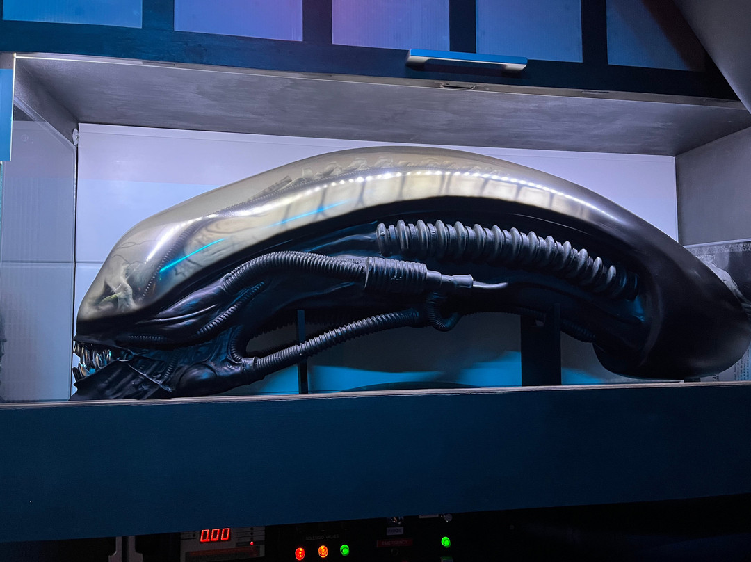 2024年3月Museo Alien景点攻略-Museo Alien门票预订|地址|图片-Museo Alien景点点评-猫途鹰