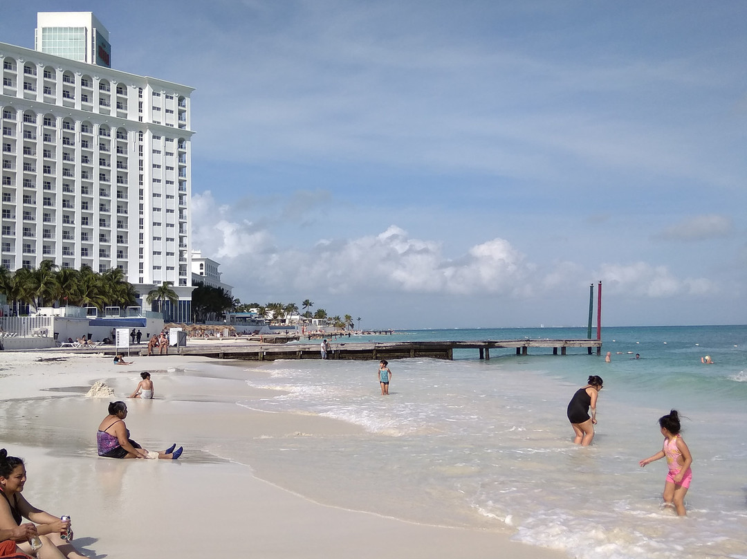 2025年2月Playa Caracol景点攻略-Playa Caracol门票预订|地址|图片-Playa Caracol景点点评-猫途鹰